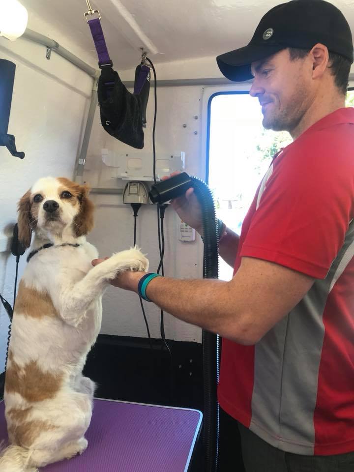 What is Mobile Dog Grooming | Jim's Dogwash